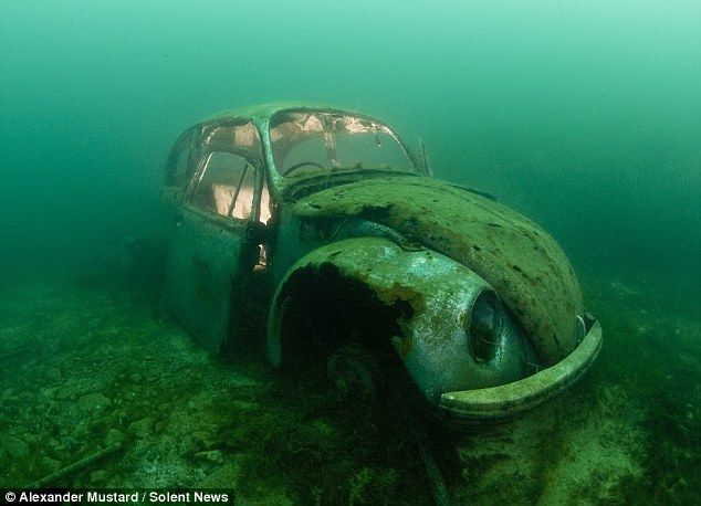 Invasion Squad of Awesomeness. VW Bugs and Camper Vans. - Littlegate ...