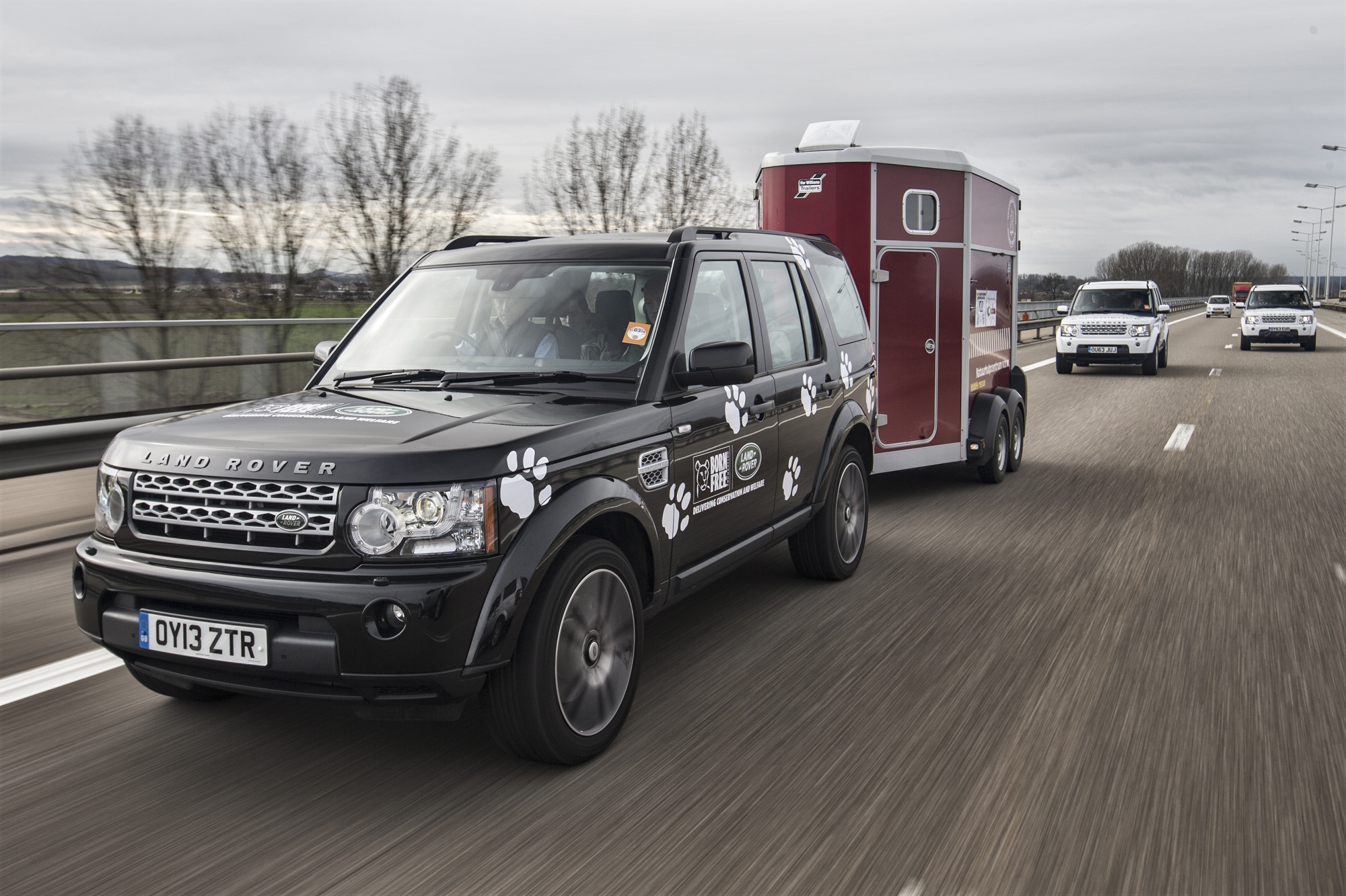 simba. The Land Rover Experience drive team transport Simba ...