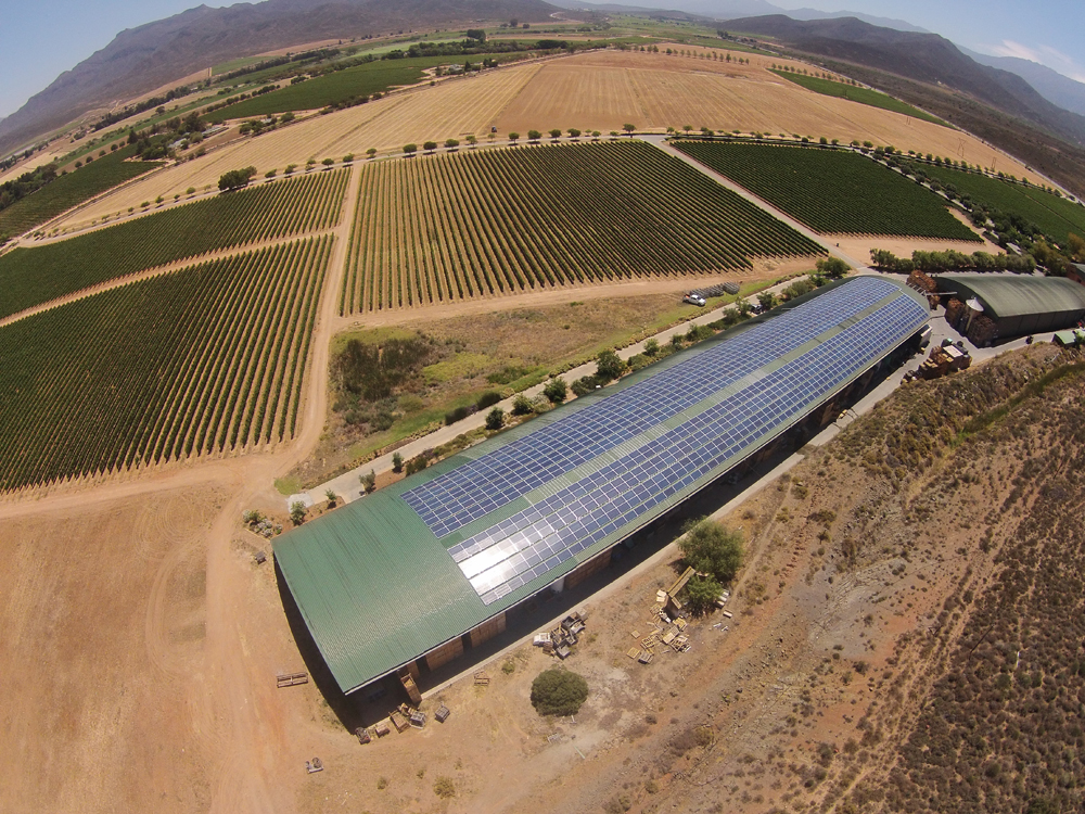 Solareff – At the vanguard of South Africa’s renewables revolution ...