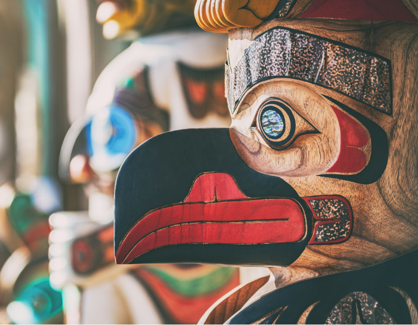 The History of Beans - Littlegate Publishing