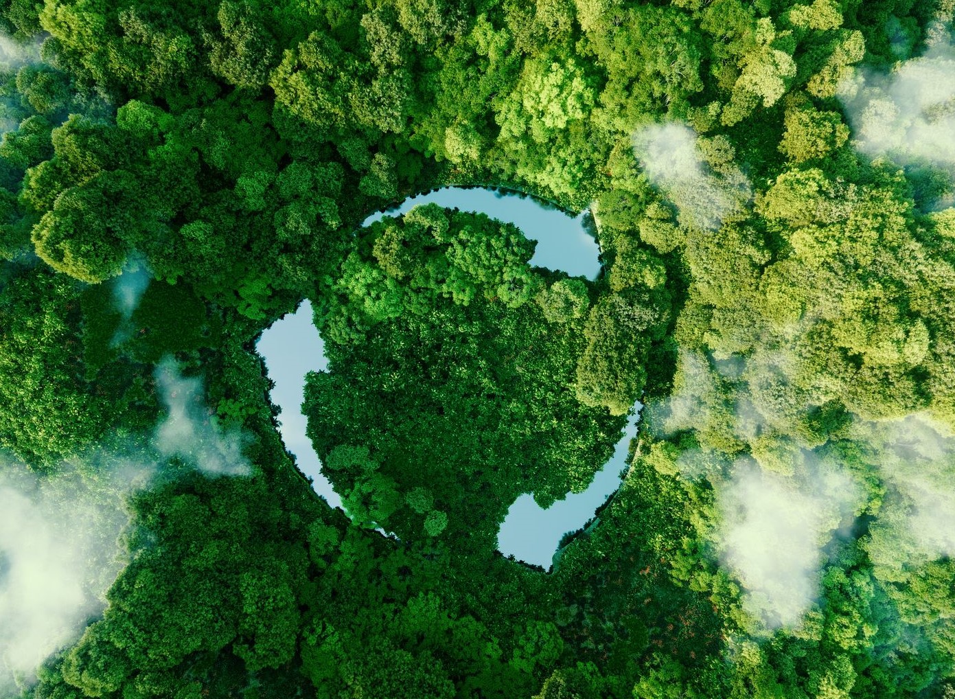 Kaizen Environmental Services Trinidad Limited: Over 25 Years of ...