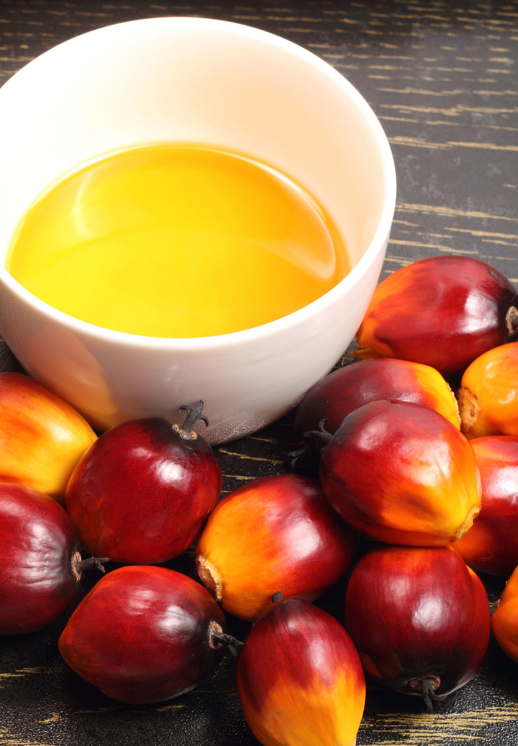 Malaysian Palm Oil Board: Fuelling Malaysia’s Economy - Littlegate ...