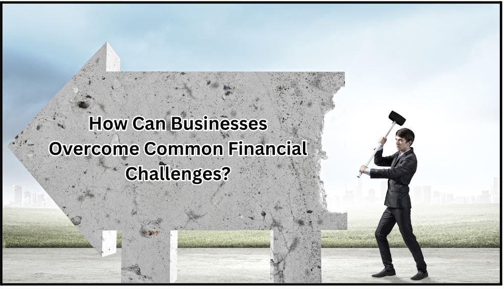 How Can Businesses Overcome Common Financial Challenges? - Littlegate ...