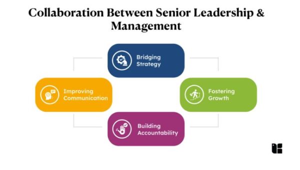 Senior Leadership vs. Senior Management: Which One Holds The Real Power ...