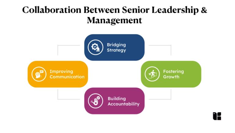 Senior Leadership vs. Senior Management: Which One Holds The Real Power ...