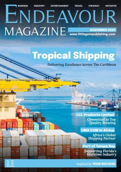 Rio Tinto SimFer: The Simandou Project - Littlegate Publishing